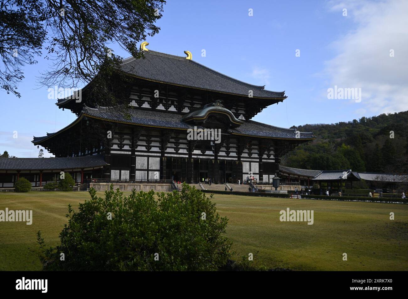Landscape with scenic view of the Great Buddha Hall a Japanese National ...