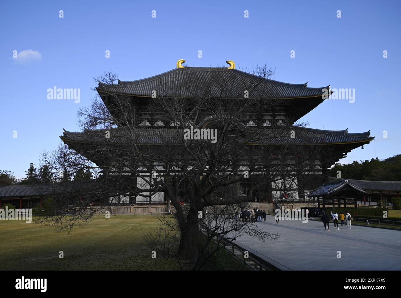 Landscape with scenic view of the Great Buddha Hall a Japanese National ...