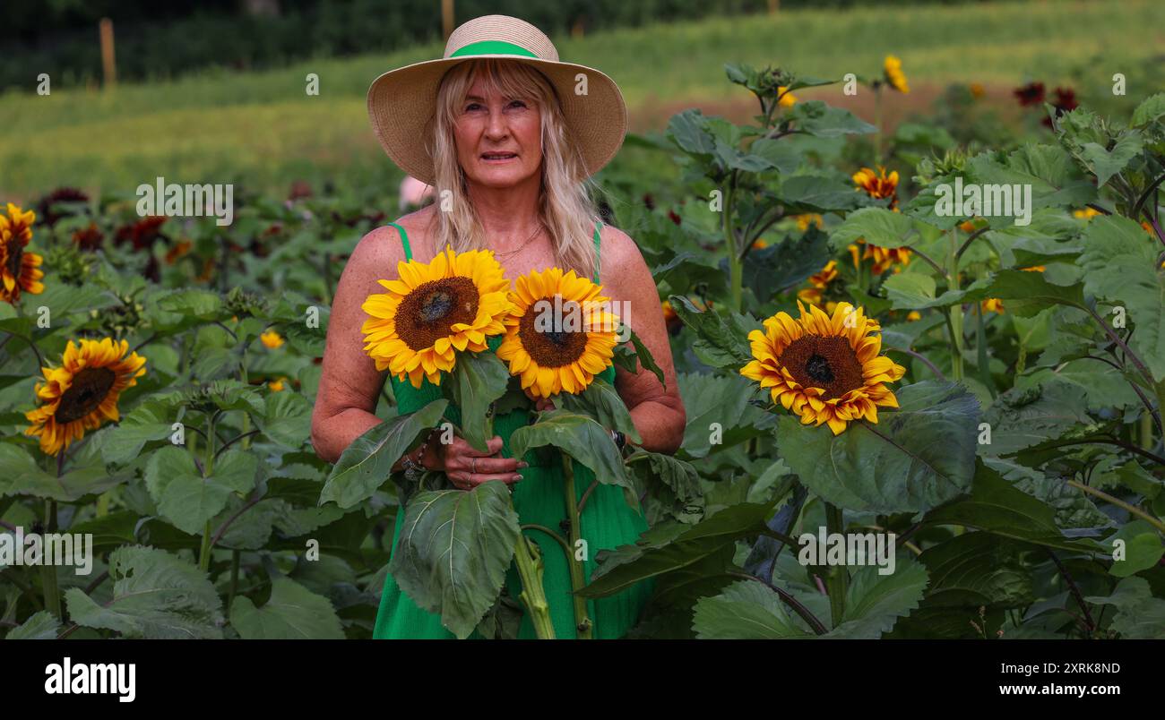 crawley, West Sussex 11August 2024 Come and lose yourself in the beauty ...