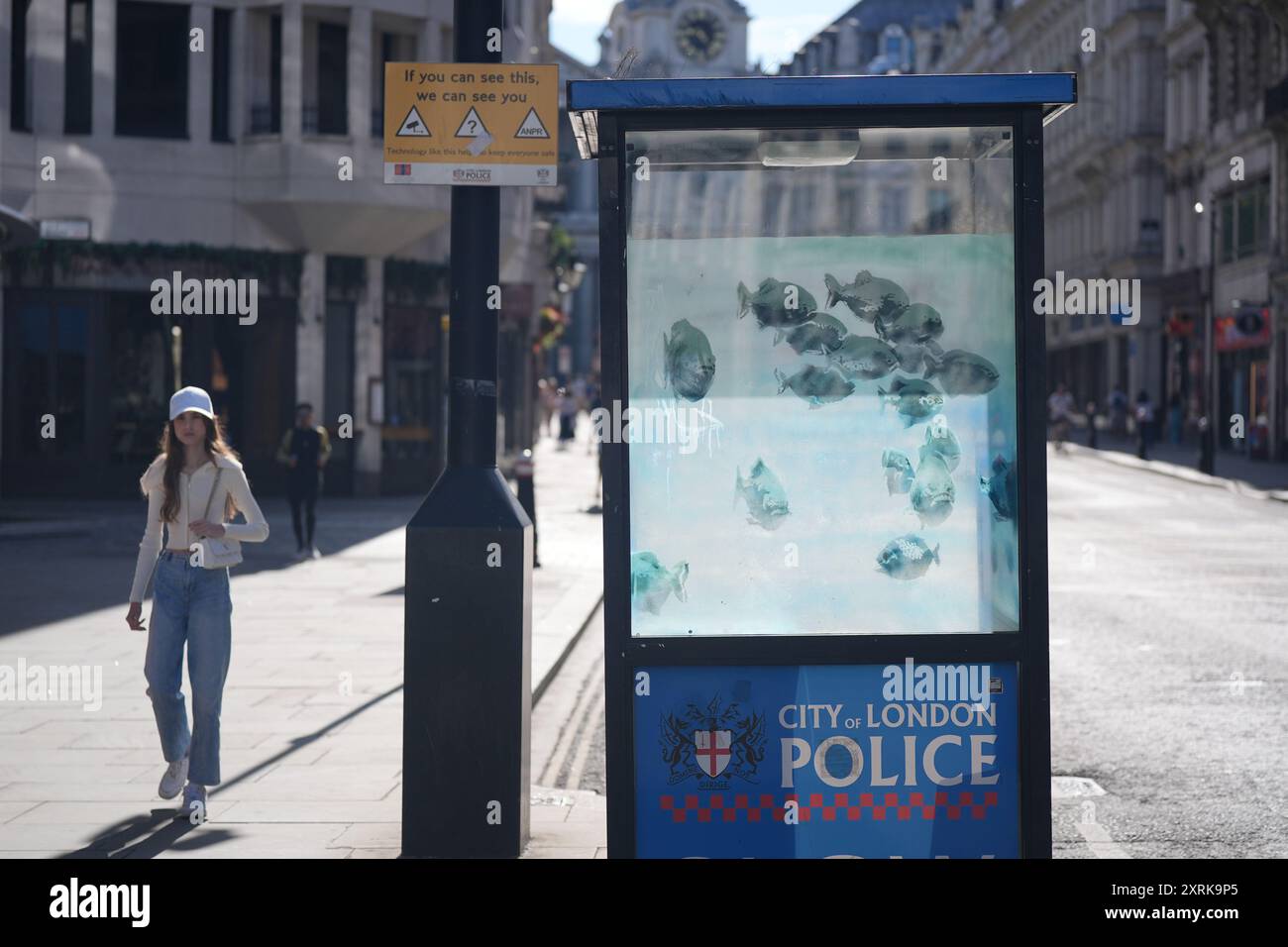 A new design of swimming fish has appeared on a police box in the City ...