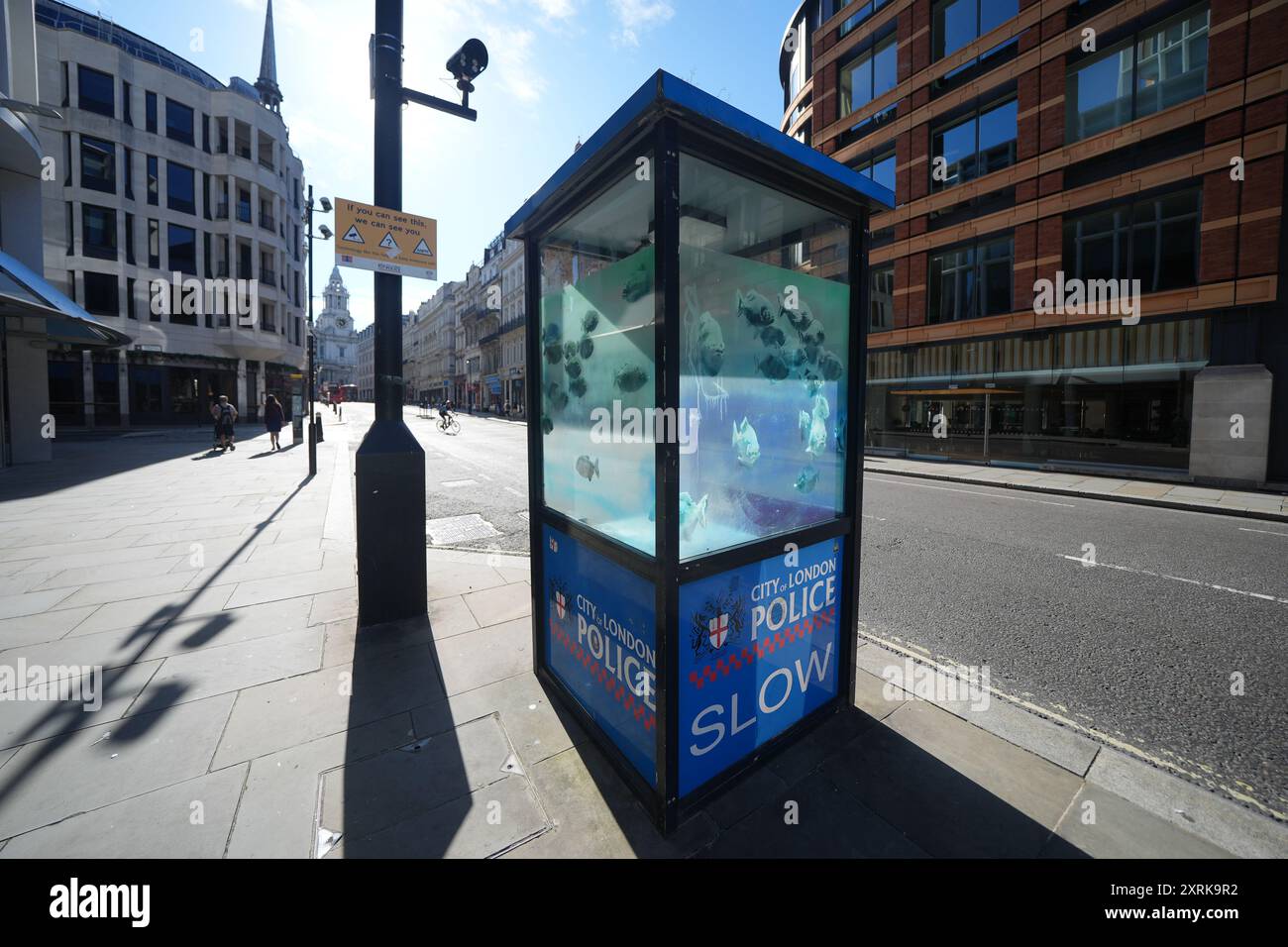 A new design of swimming fish has appeared on a police box in the City ...