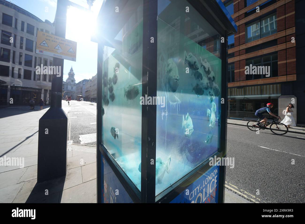 A new design of swimming fish has appeared on a police box in the City ...