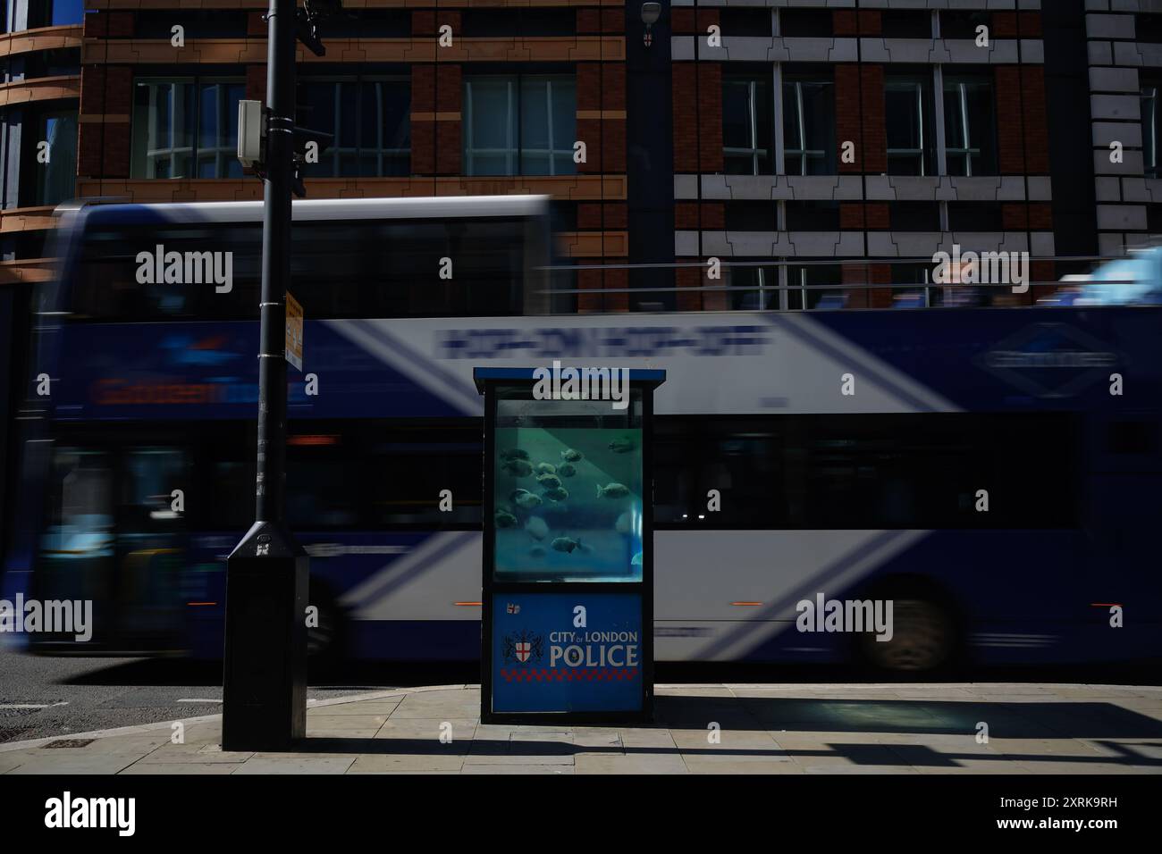 A new design of swimming fish has appeared on a police box in the City ...