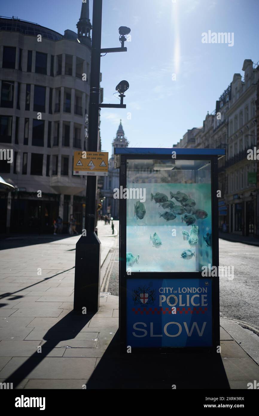 A new design of swimming fish has appeared on a police box in the City ...