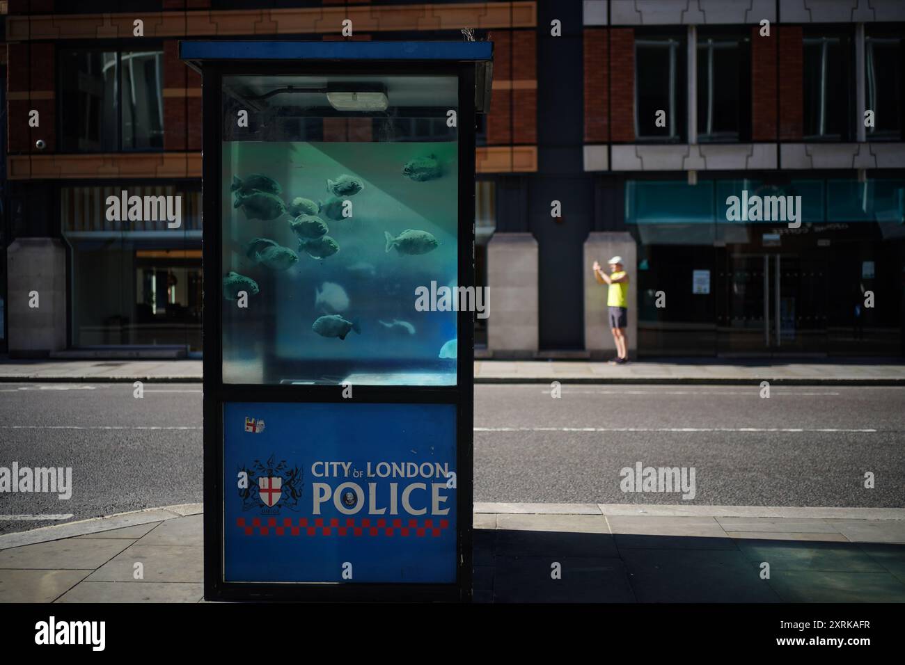 A new design of swimming fish has appeared on a police box in the City ...