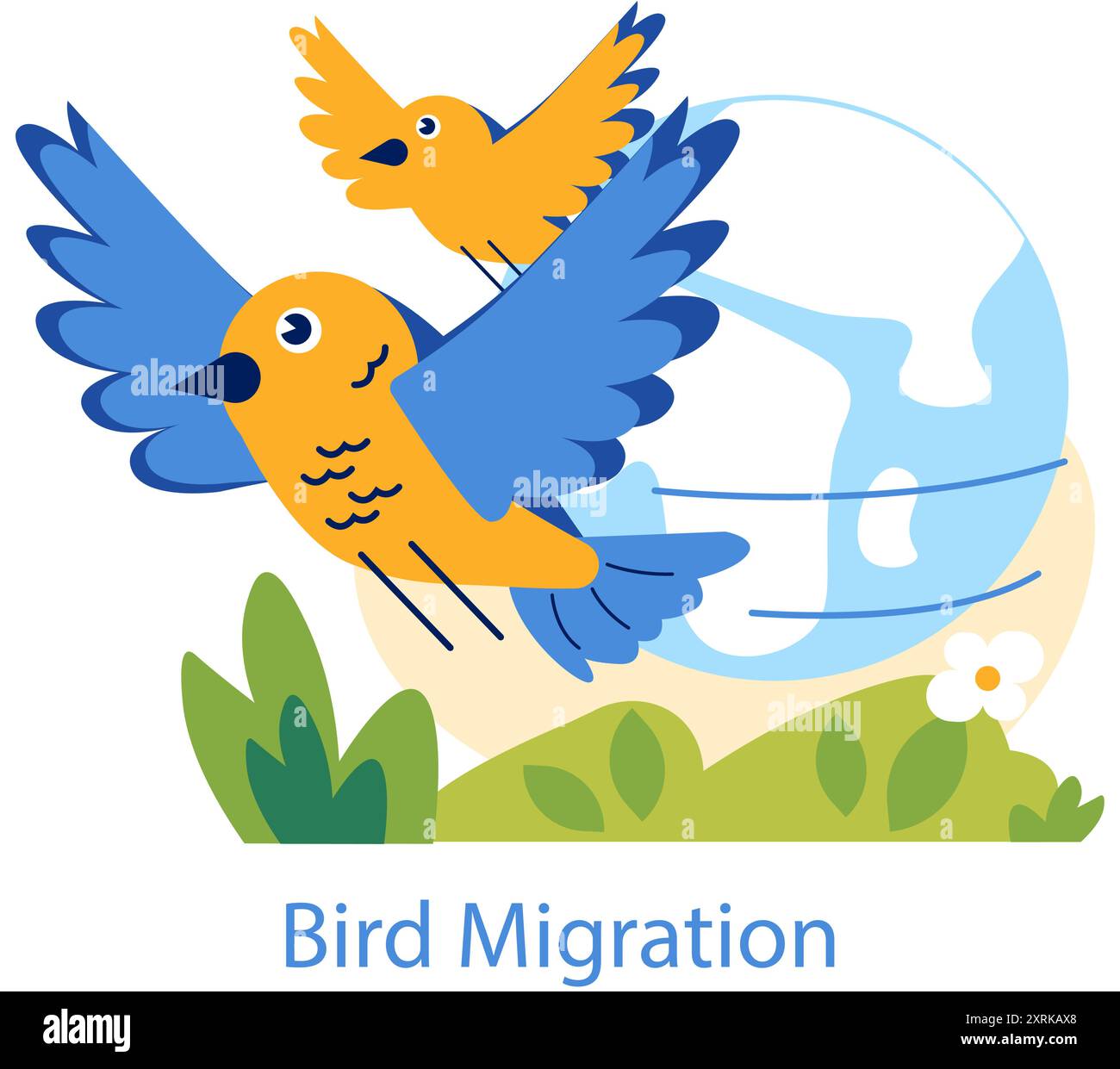Bird Migration concept. Colorful illustration of birds flying over a ...