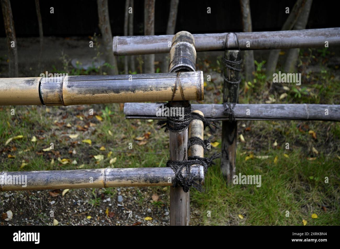 Traditional Japanese bamboo fence black tying string in the countryside ...