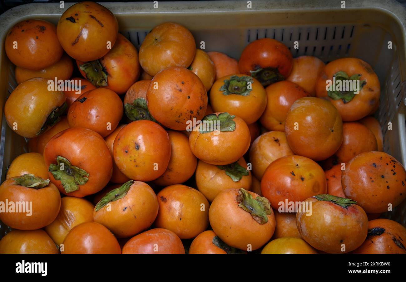 Fresh organic Japanese Kaki Persimmon on a local fruit market display ...