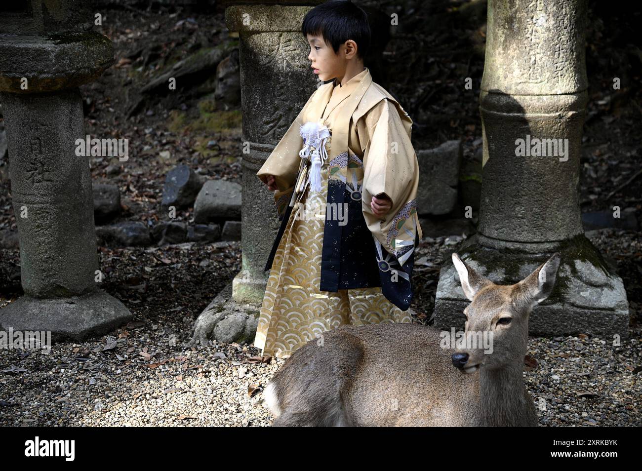 Japanese boy wearing a traditional montsuki costume accompanied by a ...