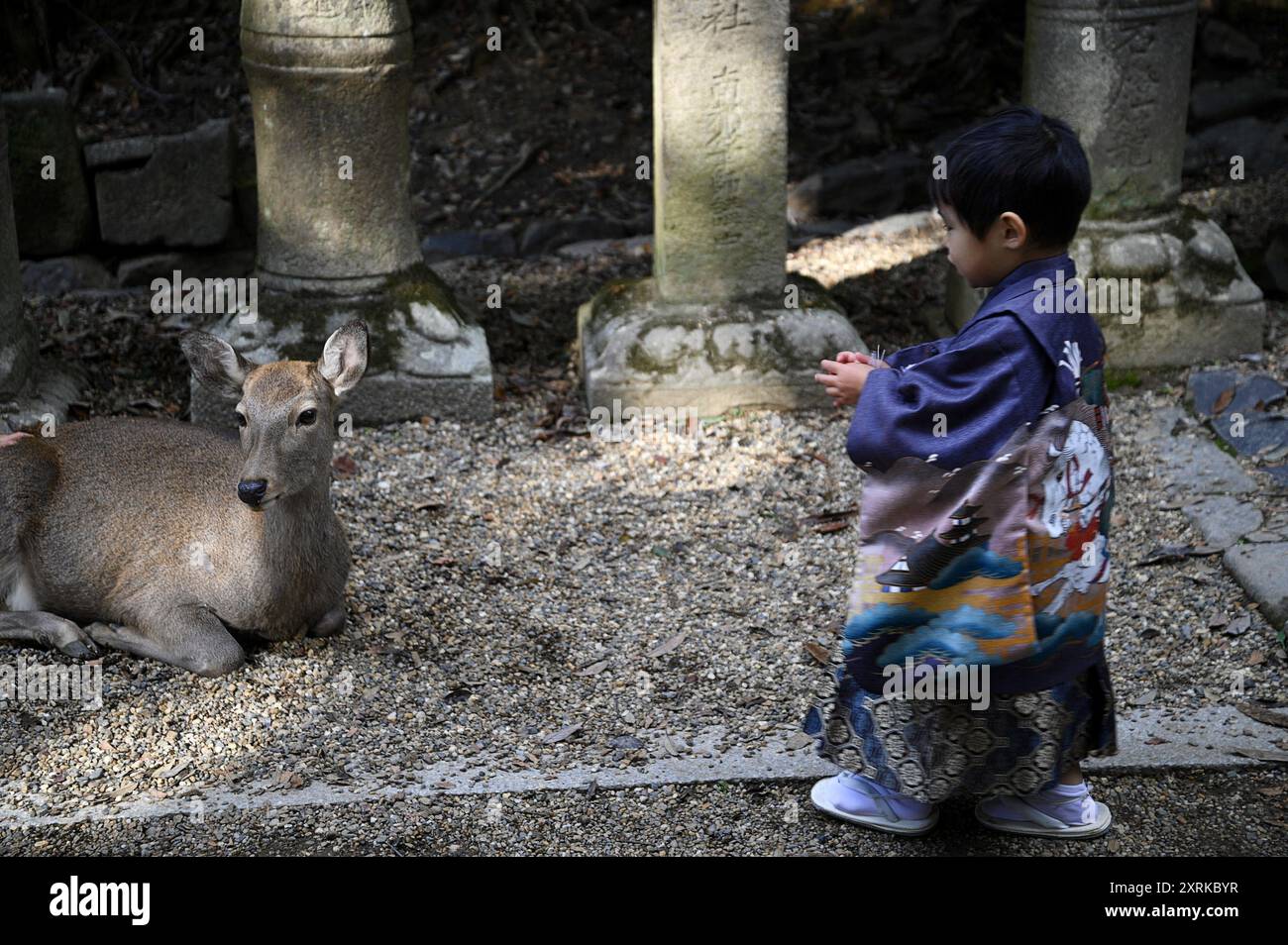 Japanese boy wearing a traditional montsuki costume accompanied by a ...