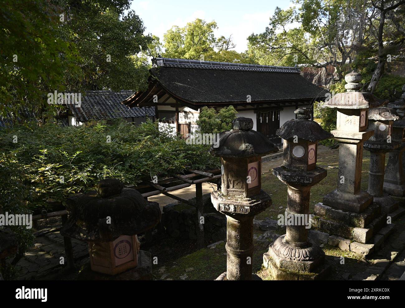 Japanese Tōrō stone lanterns covered in moss and lichen on the long ...