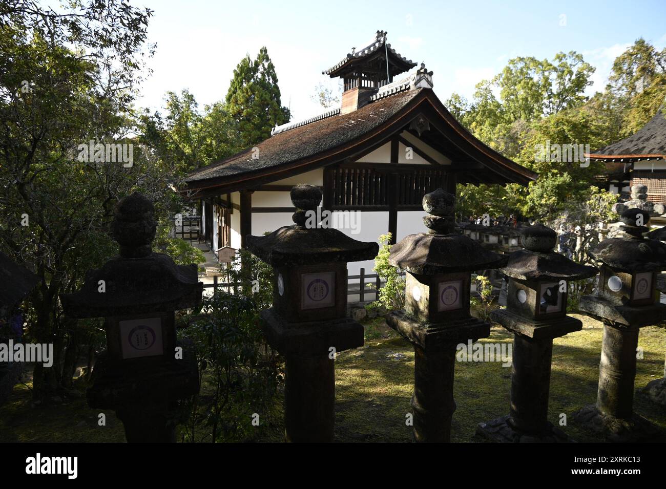 Japanese Tōrō stone lanterns covered in moss and lichen on the long ...