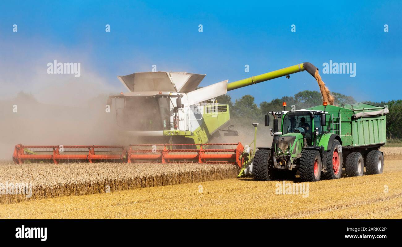 Combine harvester and tractor with loader wagon on the grain field ...