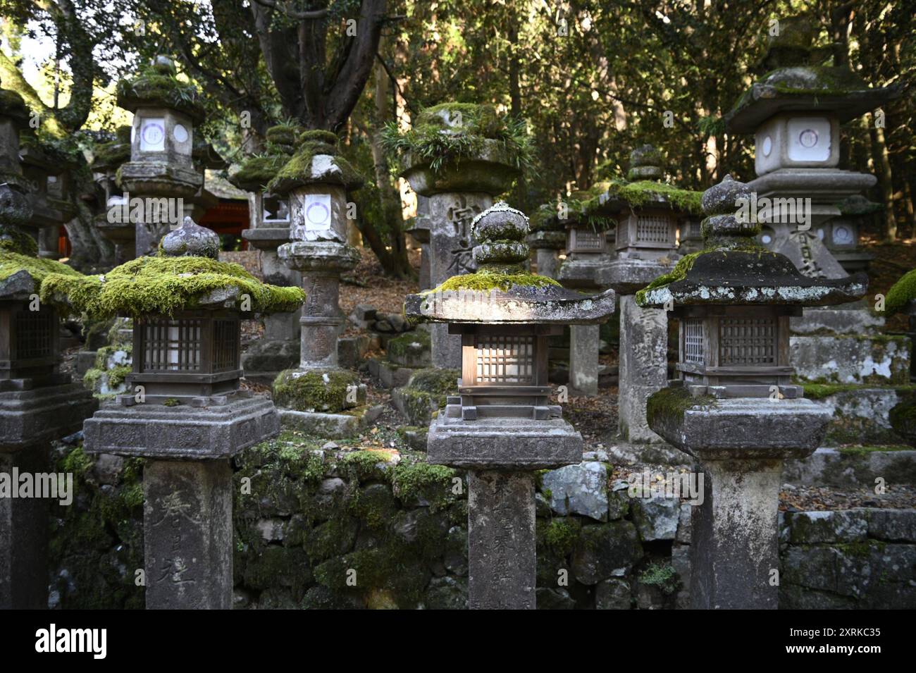Japanese Tōrō stone lanterns covered in moss and lichen on the long ...
