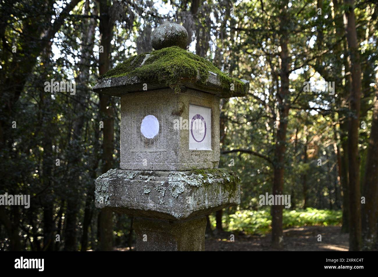 Japanese Tōrō stone lantern covered in moss and lichen on the long ...