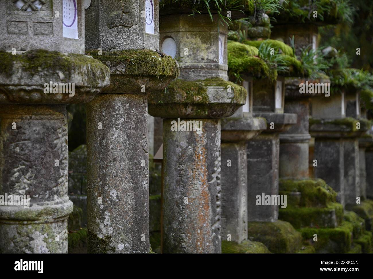 Japanese Tōrō stone lanterns covered in moss and lichen on the long ...