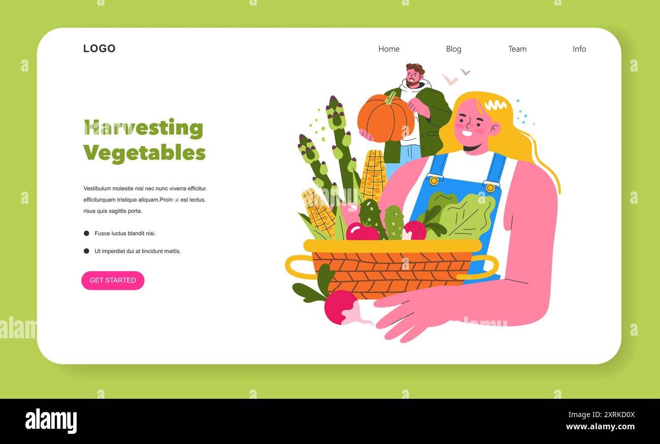 Harvesting Vegetables concept. A smiling girl showcasing a basket full ...