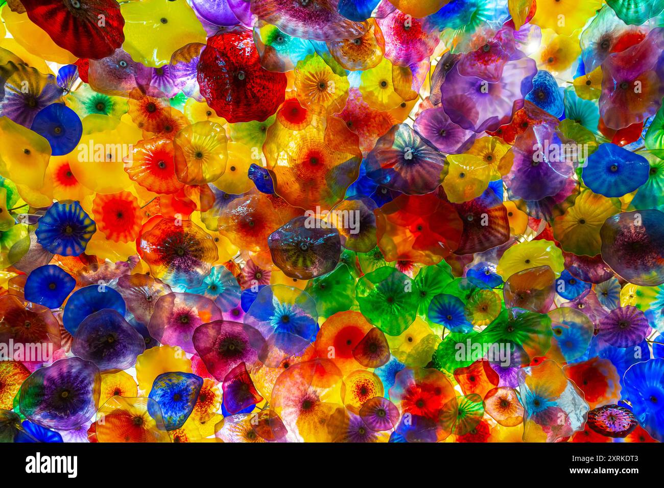 Stunning ceiling display colorful flowers hi-res stock photography and ...
