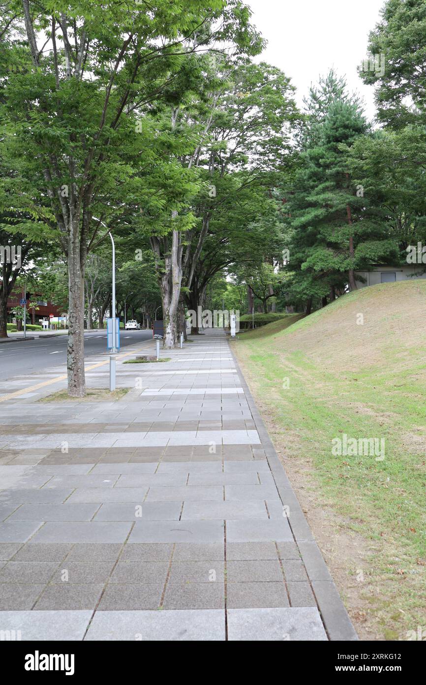 August 11, 2024. Sendai, Miyagi Prefecture, Japan.Tohoku University ...