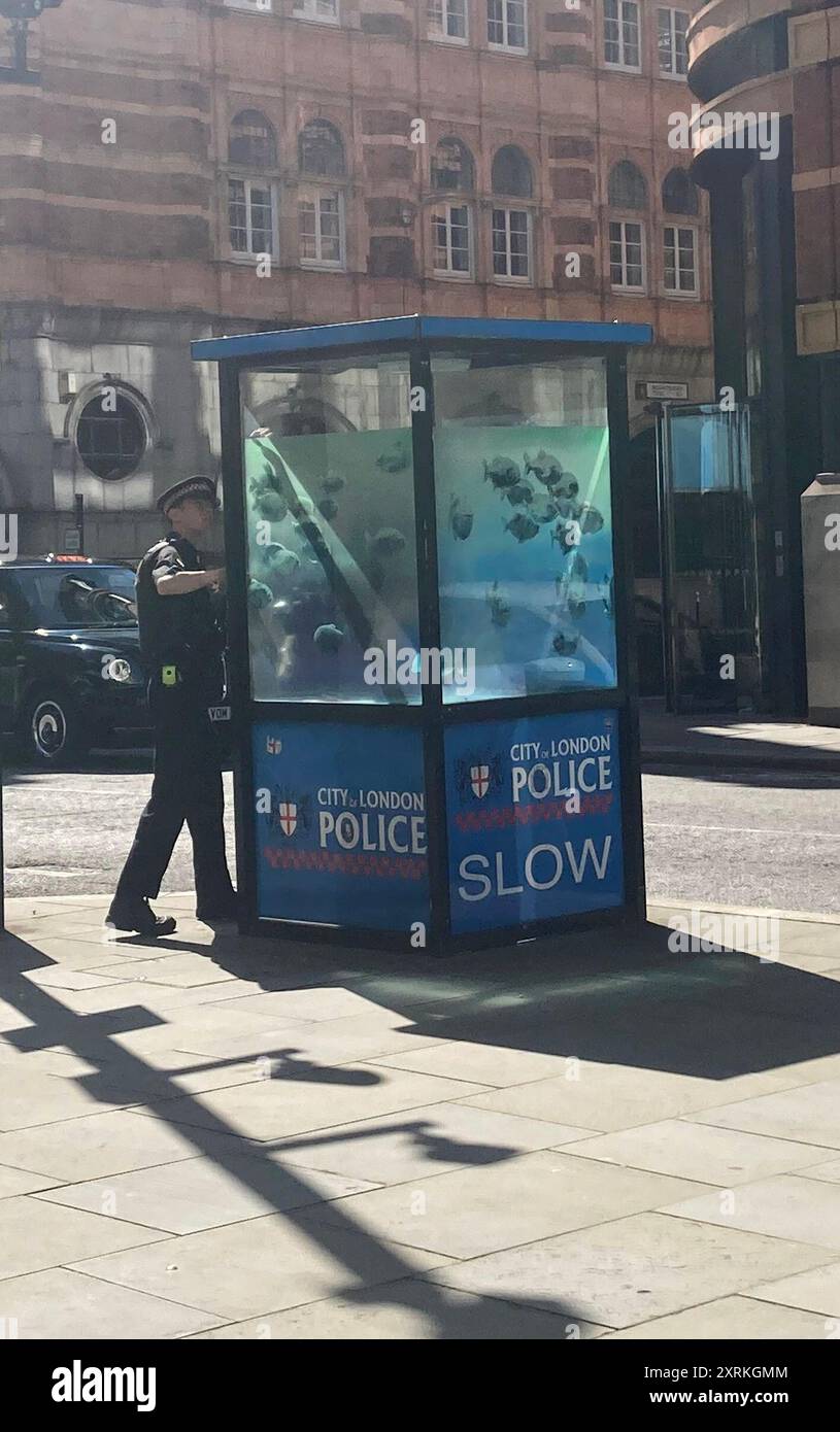 A City of London police officer looks at a new design of swimming fish ...