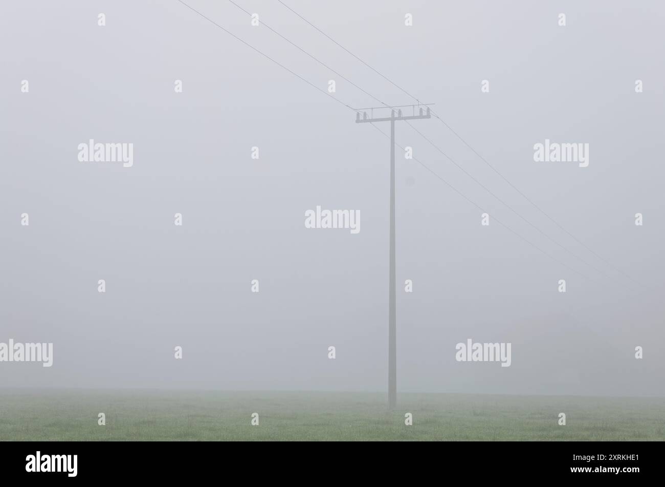 electric line in thick fog Stock Photo - Alamy
