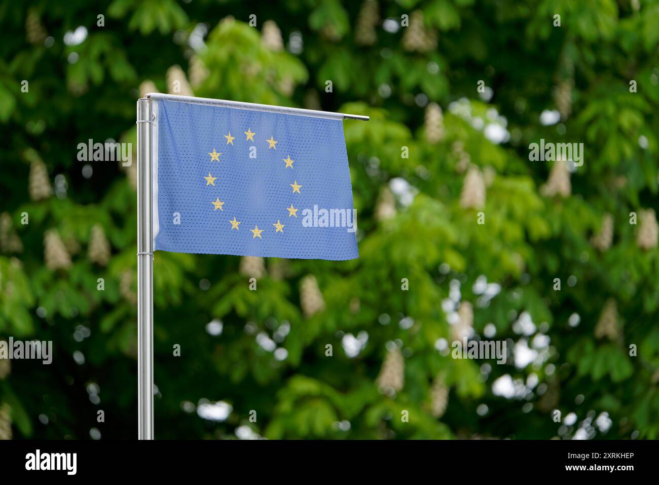 European union flag location hi-res stock photography and images - Alamy