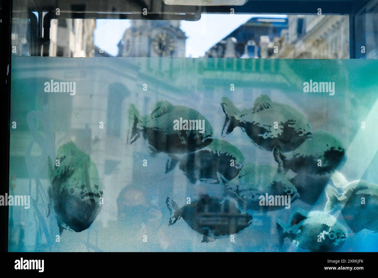 City of London, UK. 11th Aug 2024. 'Banksy' Piranha fish appear in City ...
