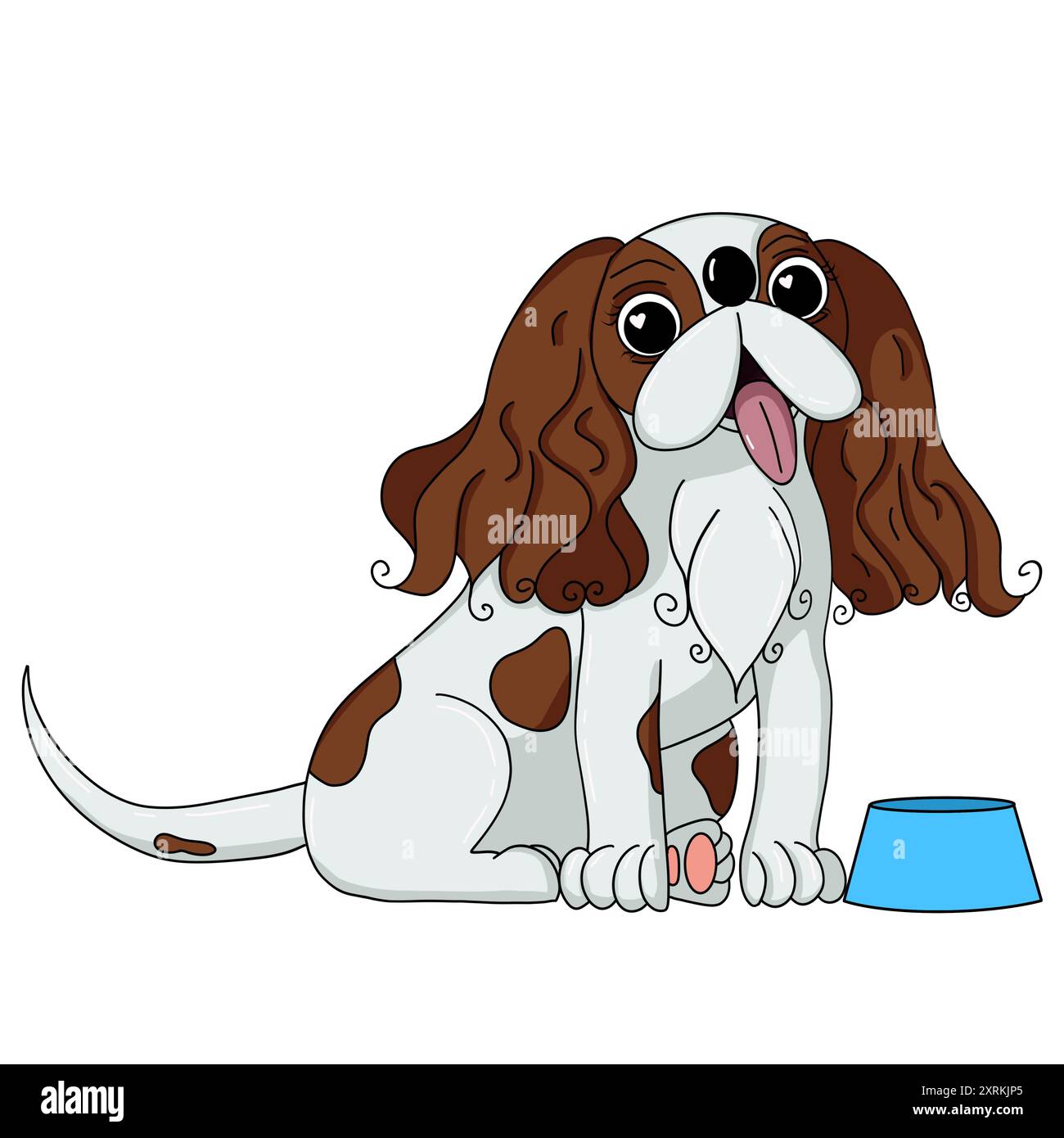 ?avalier King Charles Spaniel puppy looks up at bowl. isolated on white ...