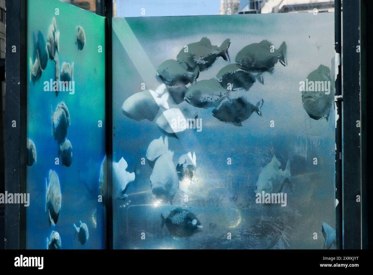 City of London, UK. 11th Aug 2024. 'Banksy' Piranha fish appear in City ...