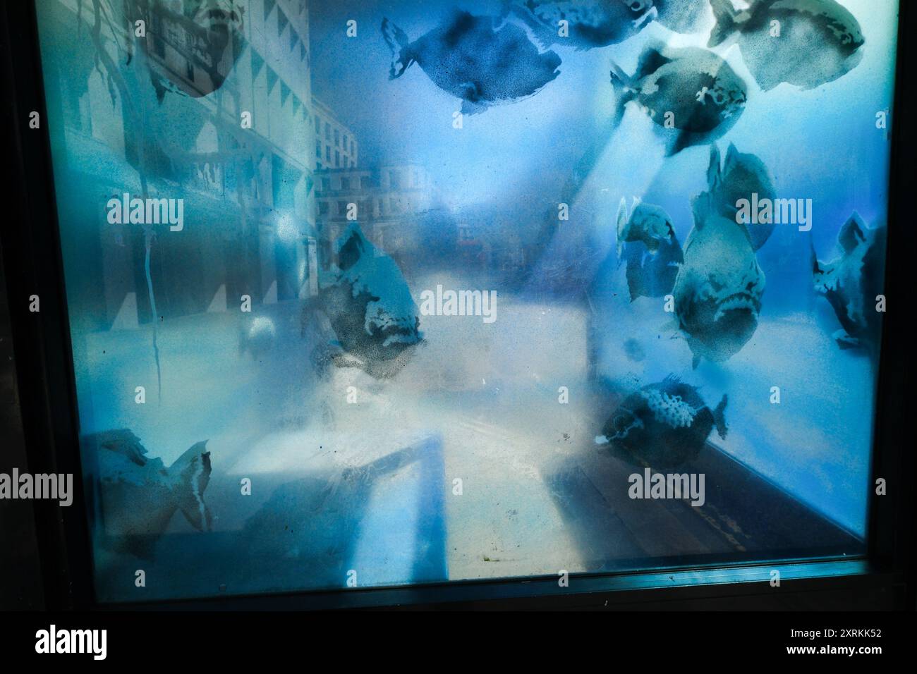 City of London, UK. 11th Aug 2024. 'Banksy' Piranha fish appear in City ...