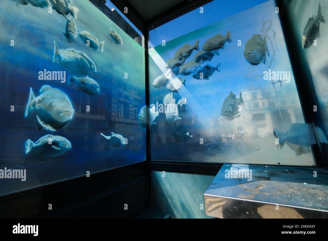 City of London, UK. 11th Aug 2024. 'Banksy' Piranha fish appear in City ...