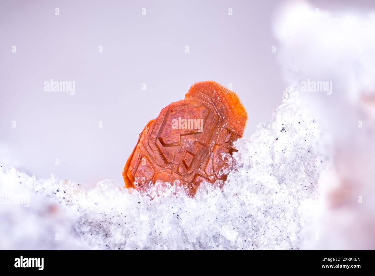 Phlogopite hi-res stock photography and images - Alamy