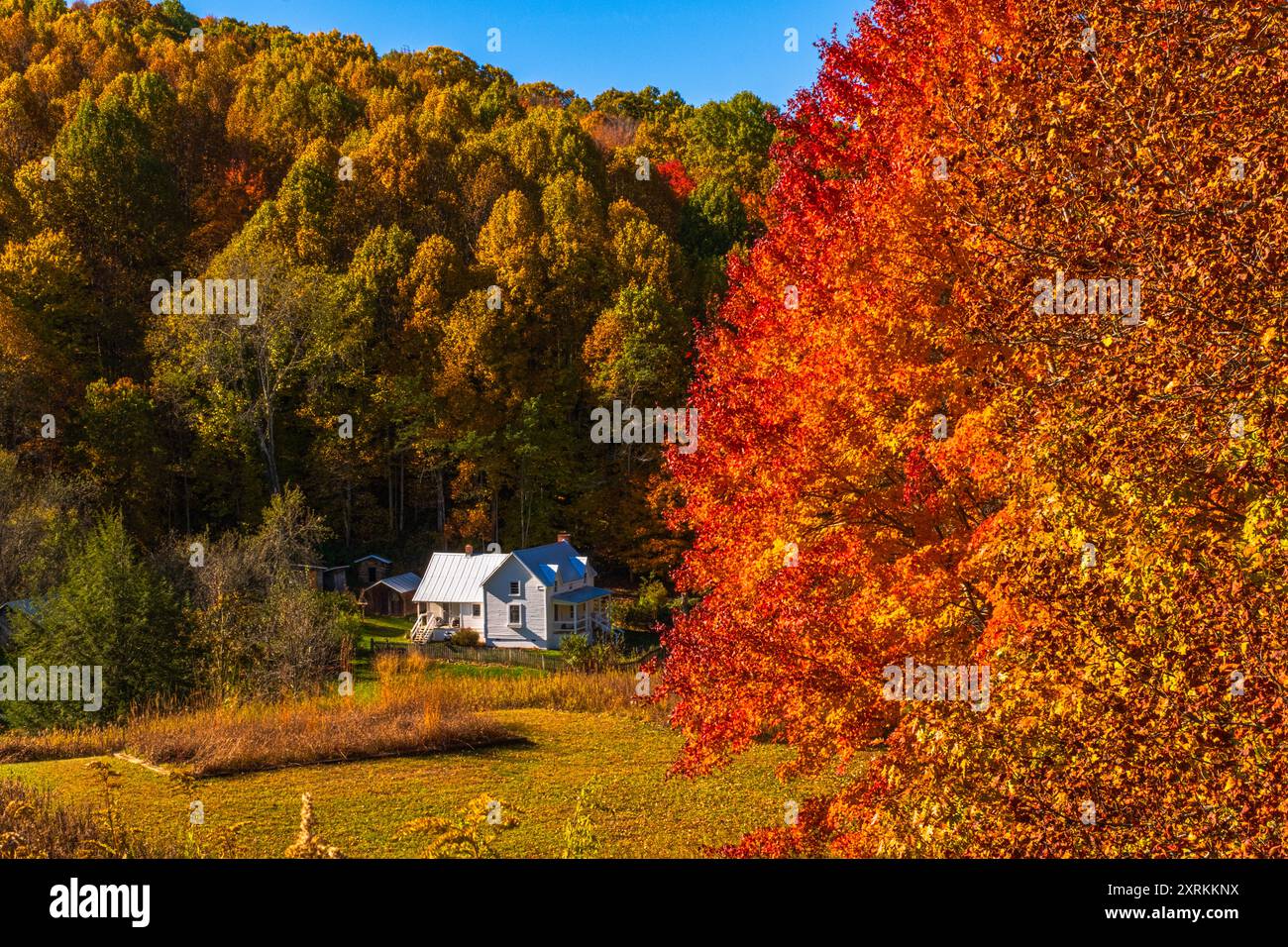 Roan mountain state park autumn hi-res stock photography and images - Alamy