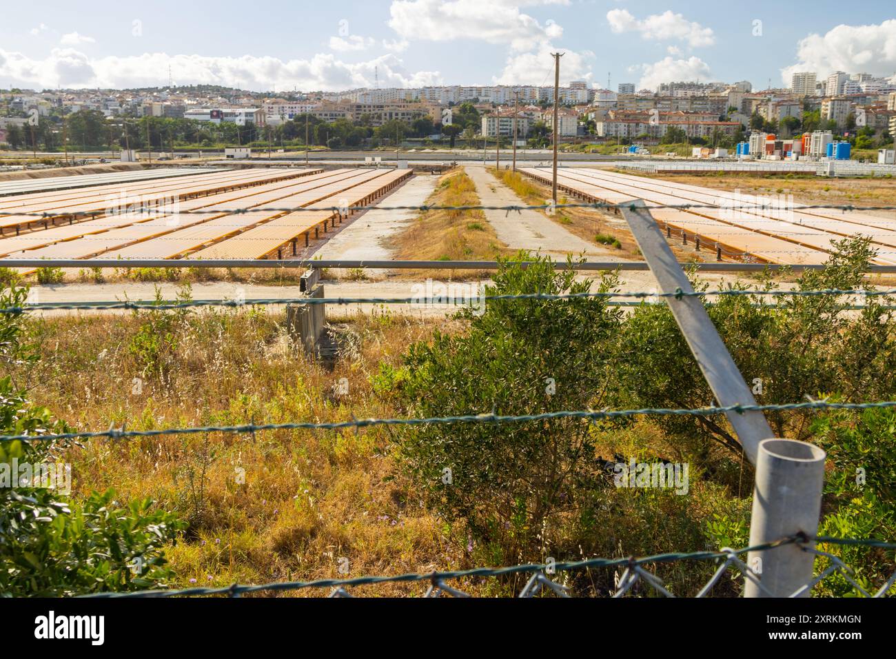 Algae farm with photobioreactors for algae cultivation in an eco ...