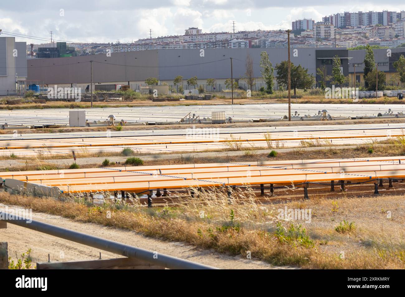 Algae bioreactors hi-res stock photography and images - Alamy