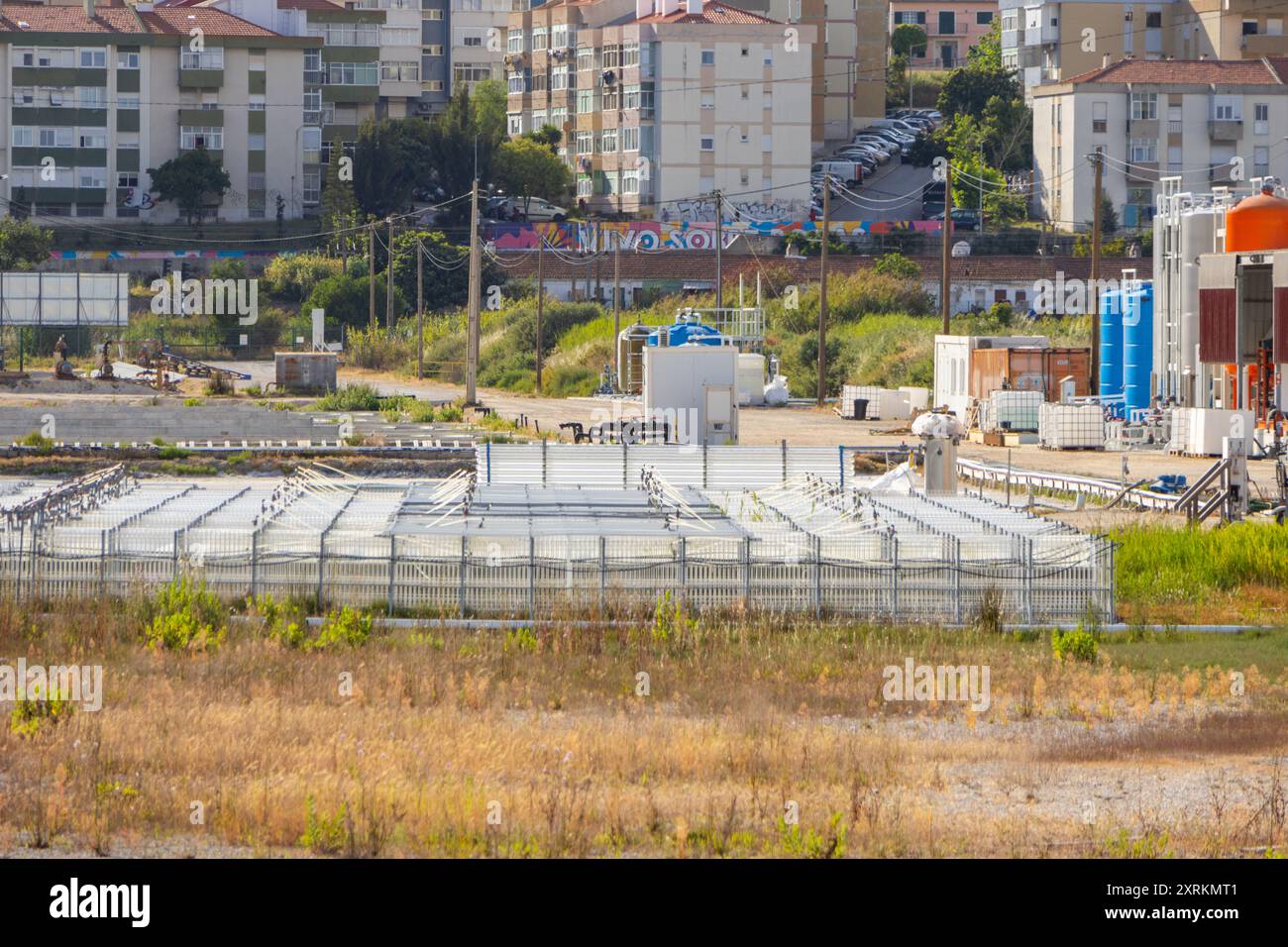 Industrial photobioreactors are growing microalgae in a sustainable ...