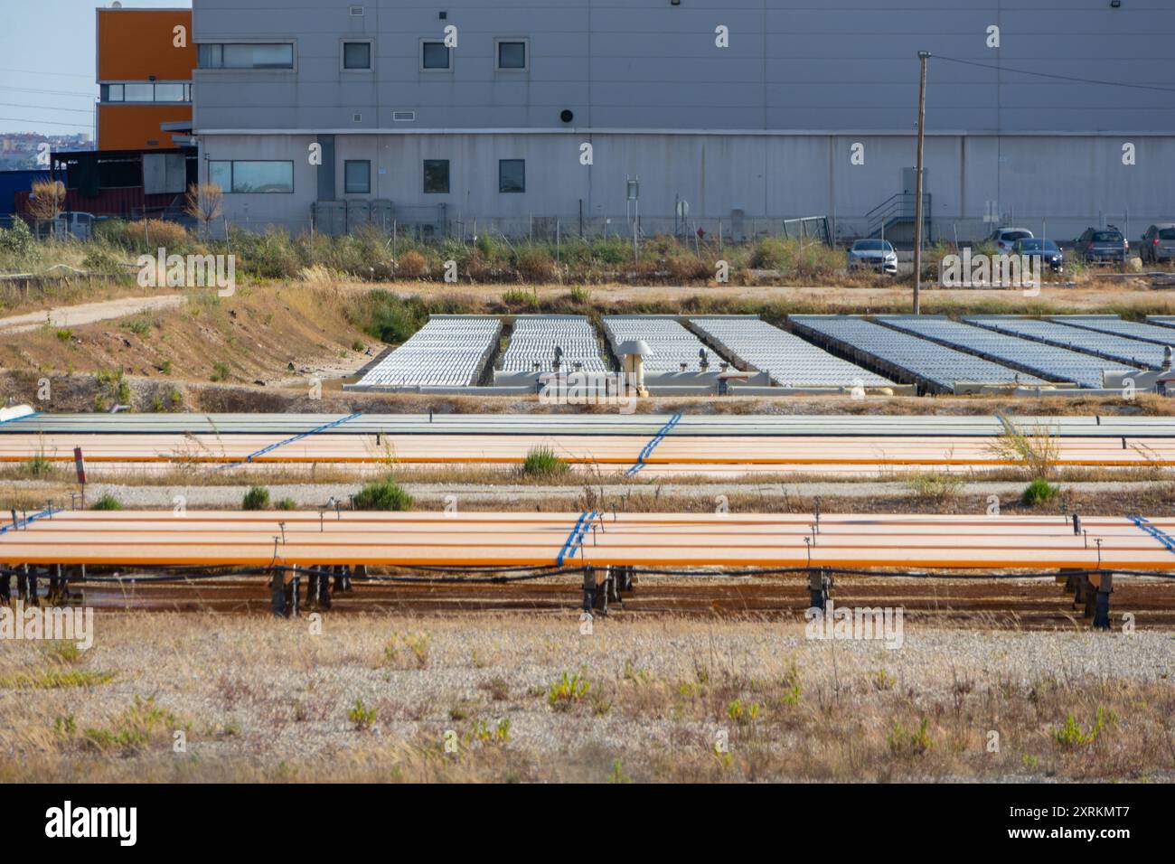 Open air algae farm using photobioreactors for biomass production in a ...