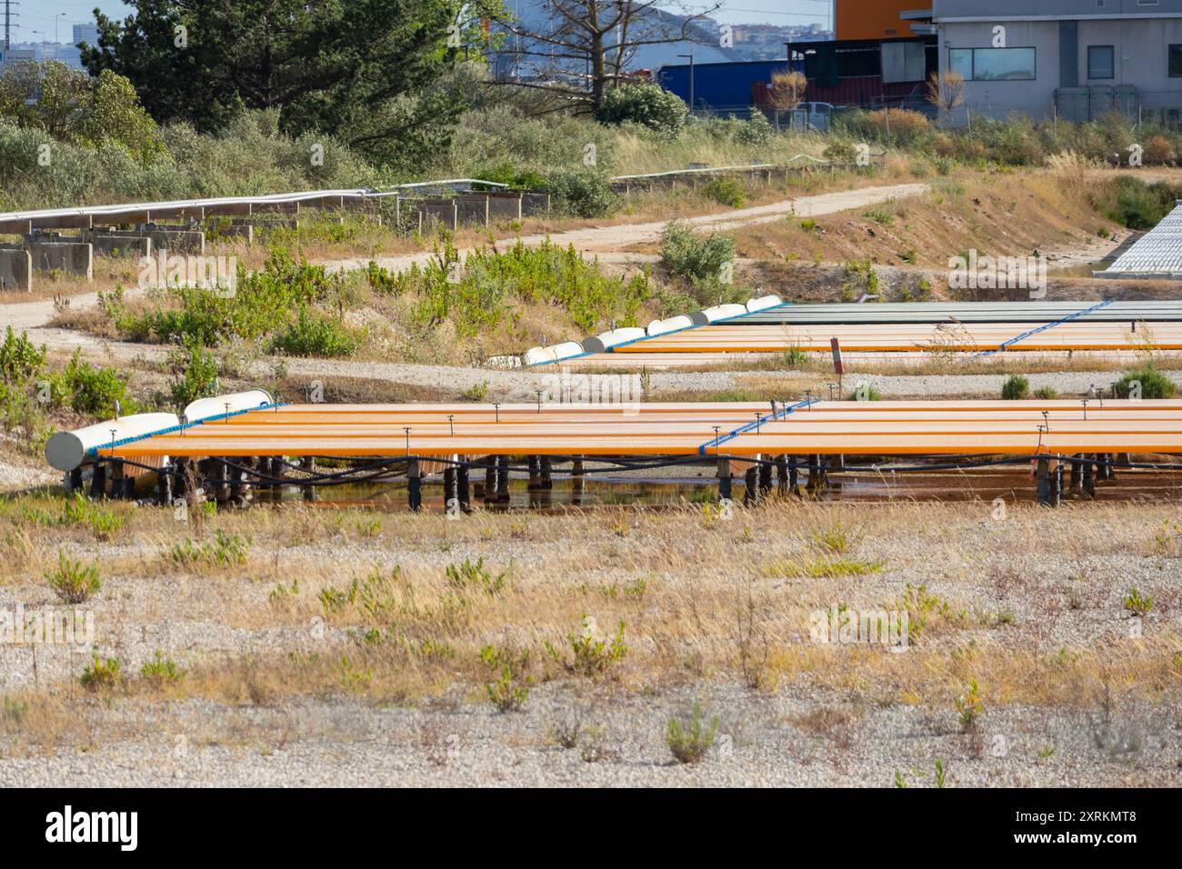 Algae biofuel system hi-res stock photography and images - Alamy