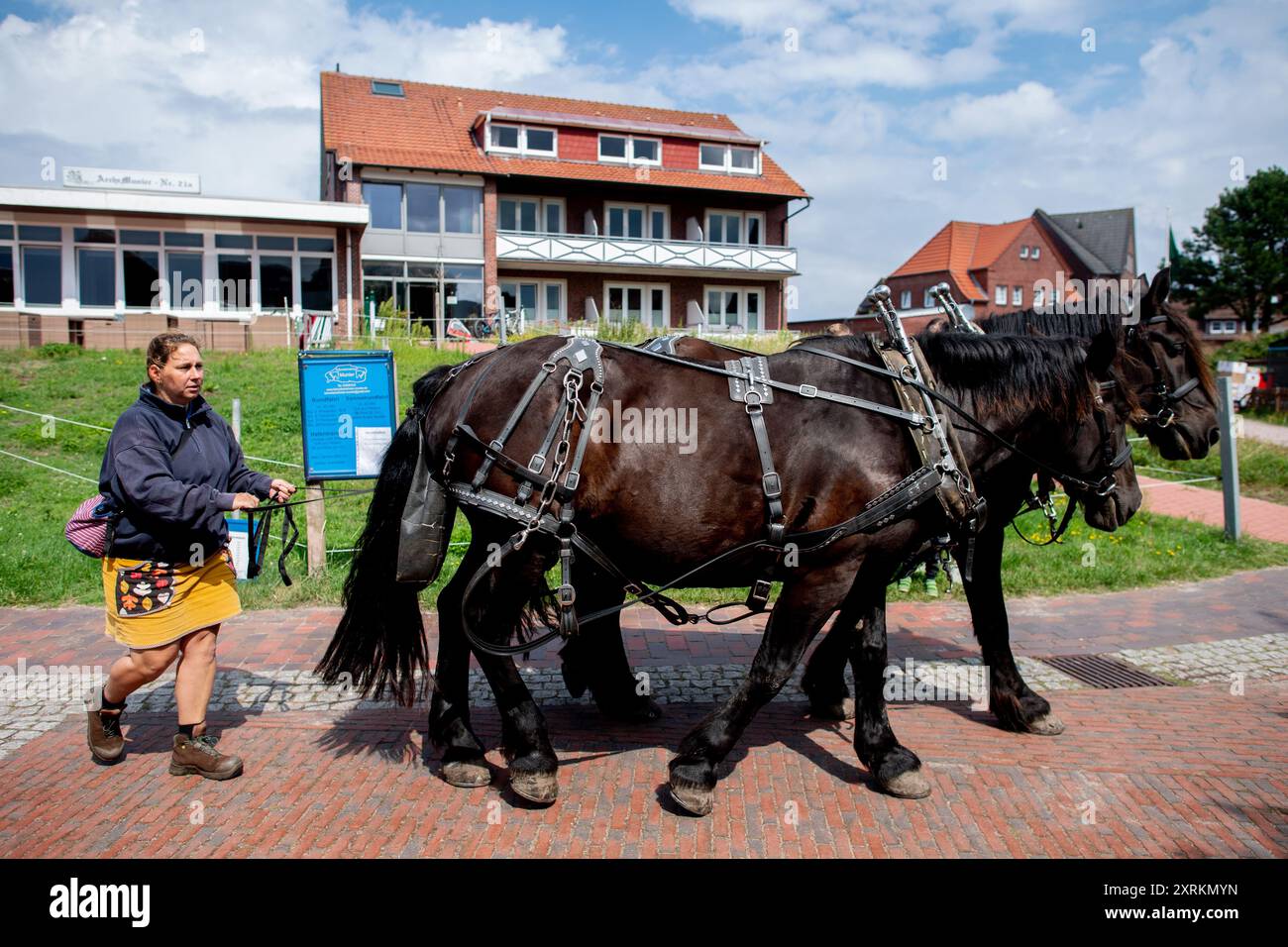 Mobility harness hi-res stock photography and images - Alamy