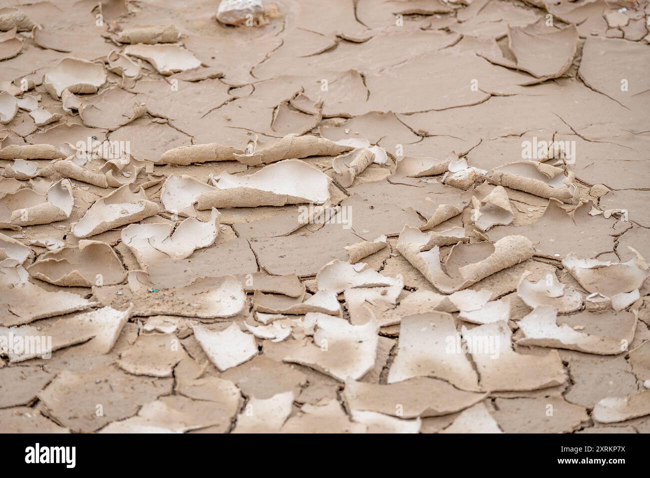 High-resolution image showcasing a detailed view of a dried and deeply ...