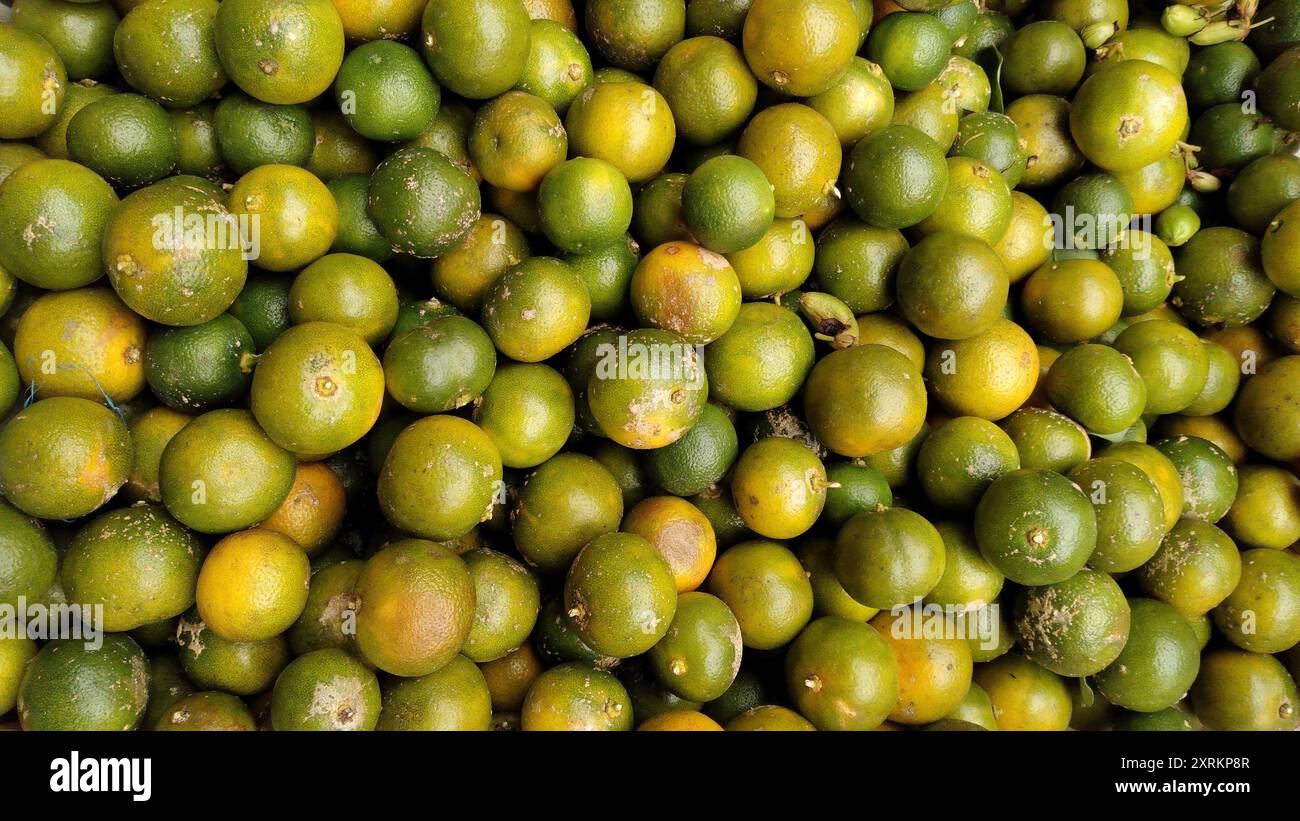 detailed texture and pattern of lime fruit Stock Photo - Alamy