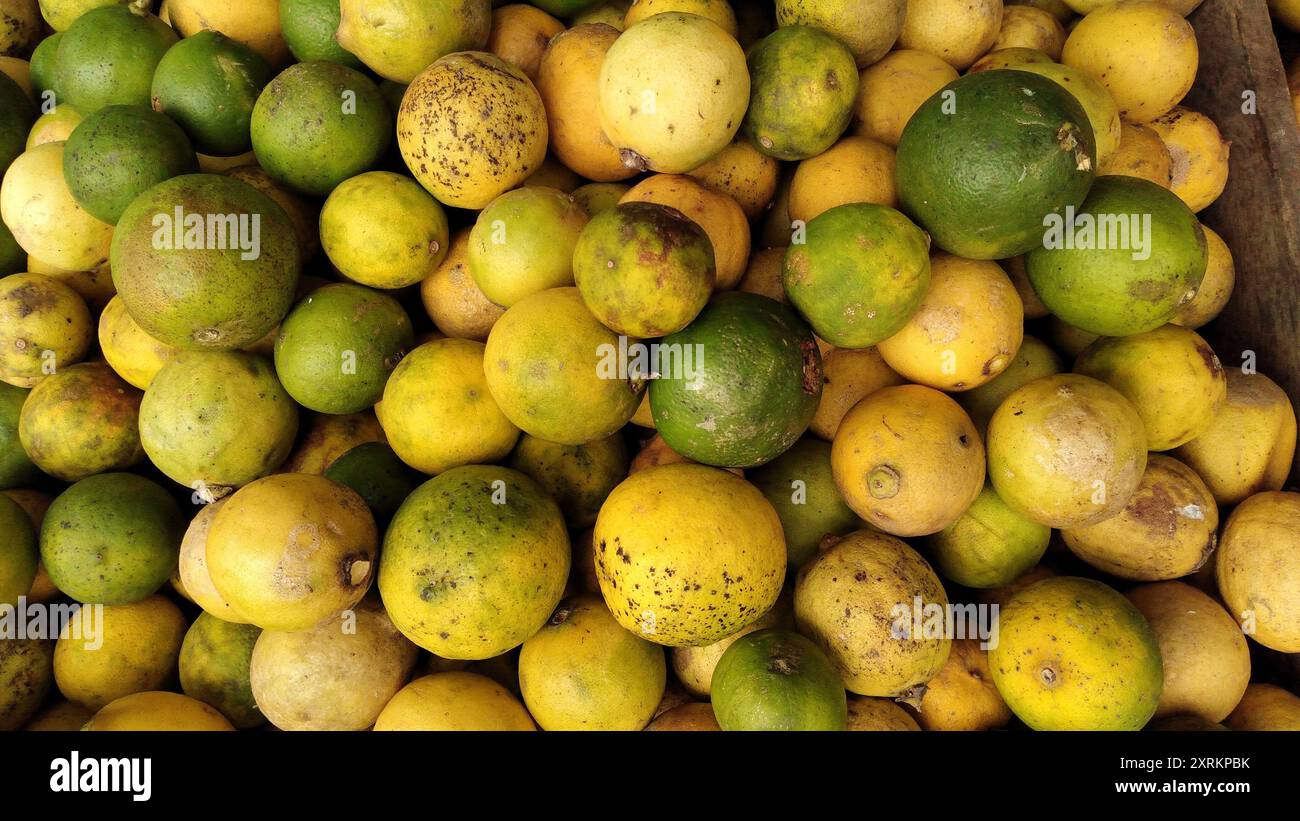 detailed texture and pattern of lime fruit Stock Photo - Alamy
