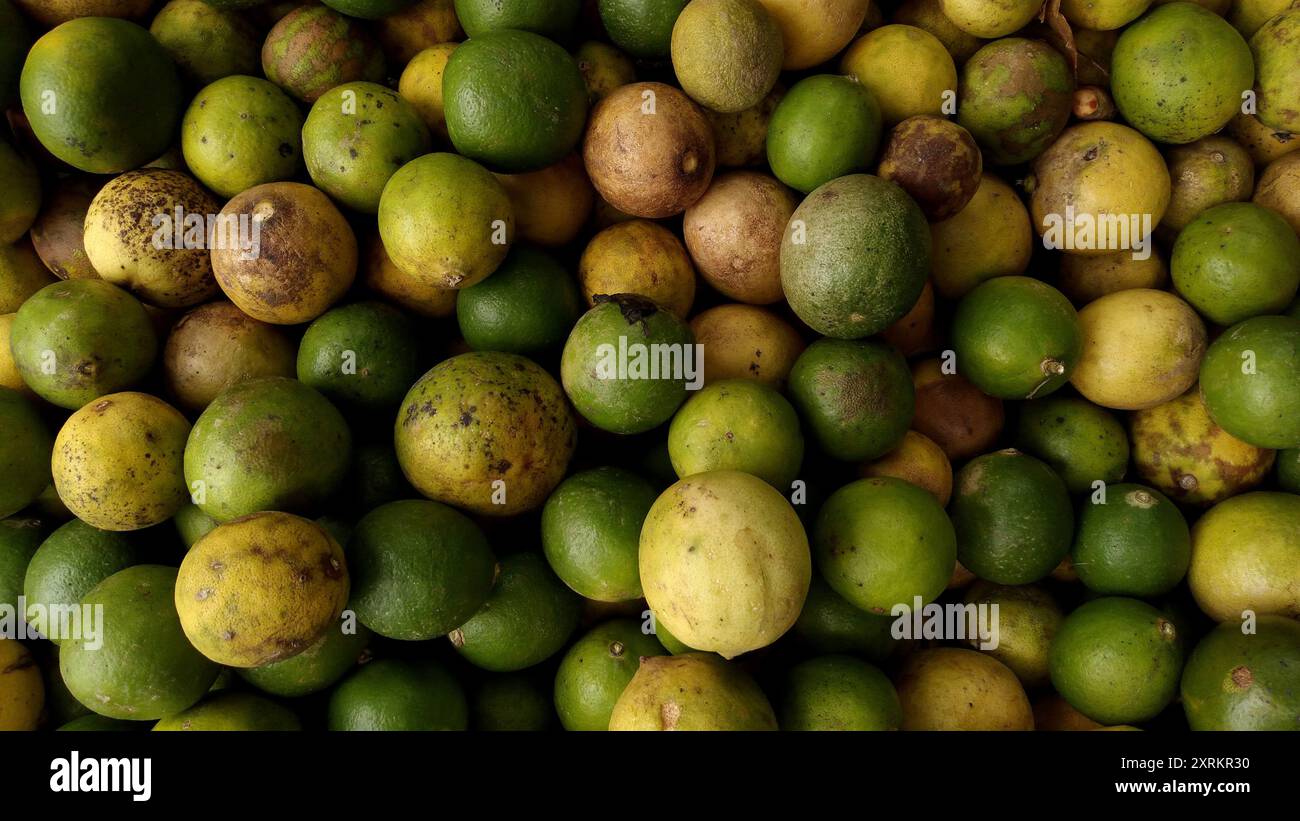 detailed texture and pattern of lime fruit Stock Photo - Alamy