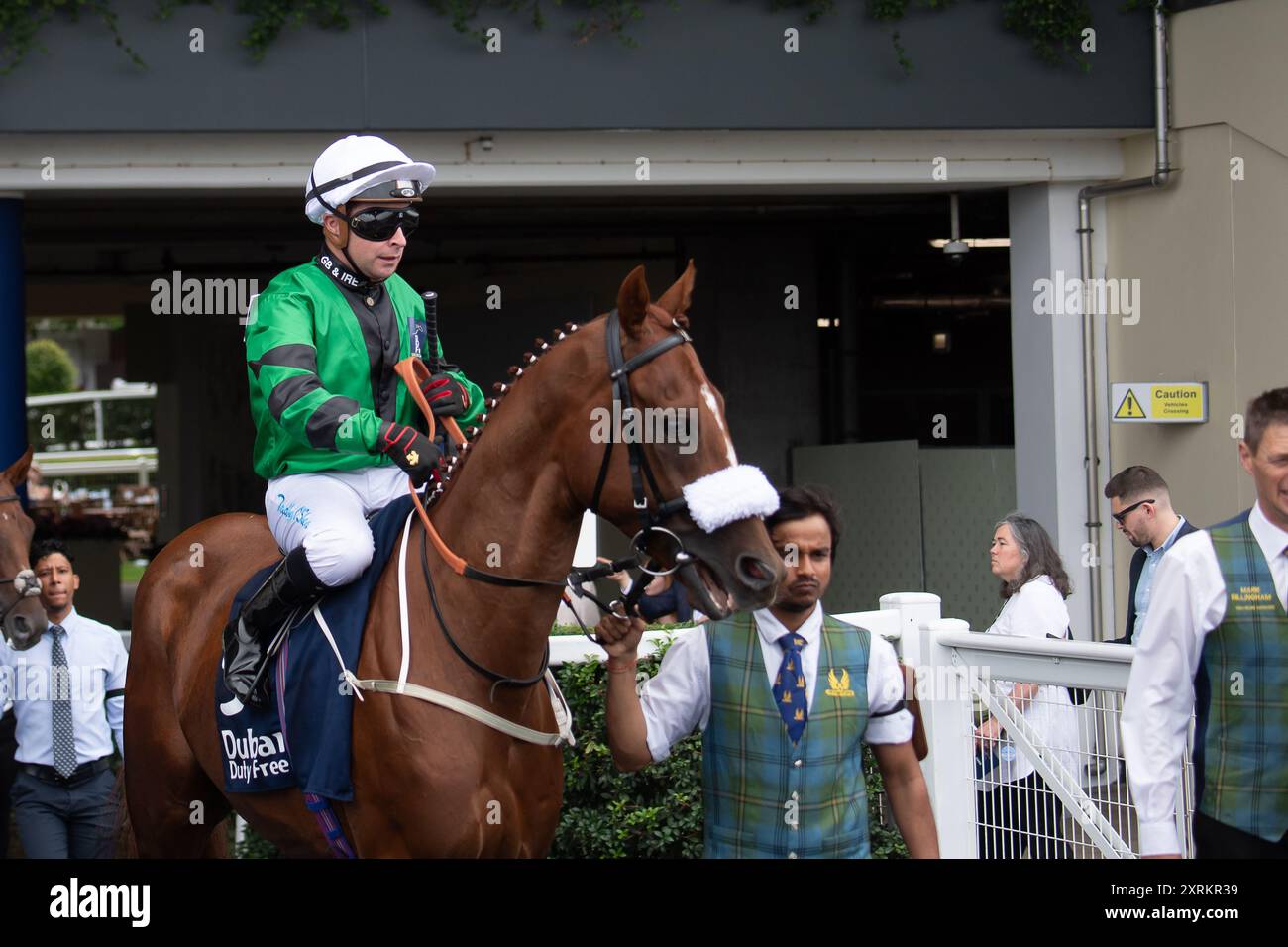 Breeder fargo bloodstock hi-res stock photography and images - Alamy