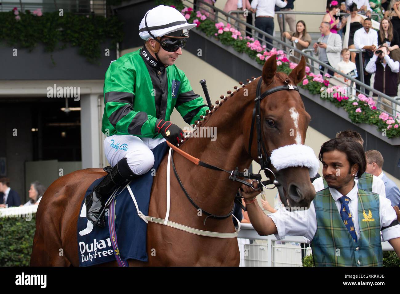 Breeder fargo bloodstock hi-res stock photography and images - Alamy