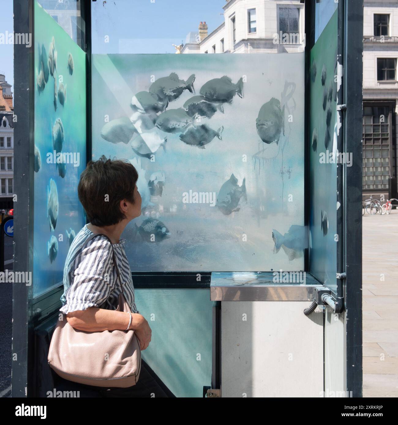 Banksy police box hi-res stock photography and images - Alamy