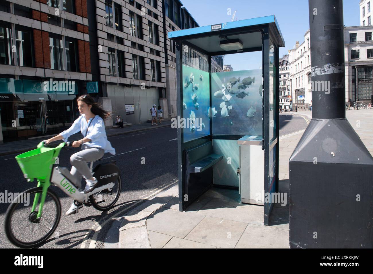 Banksy police box hi-res stock photography and images - Alamy