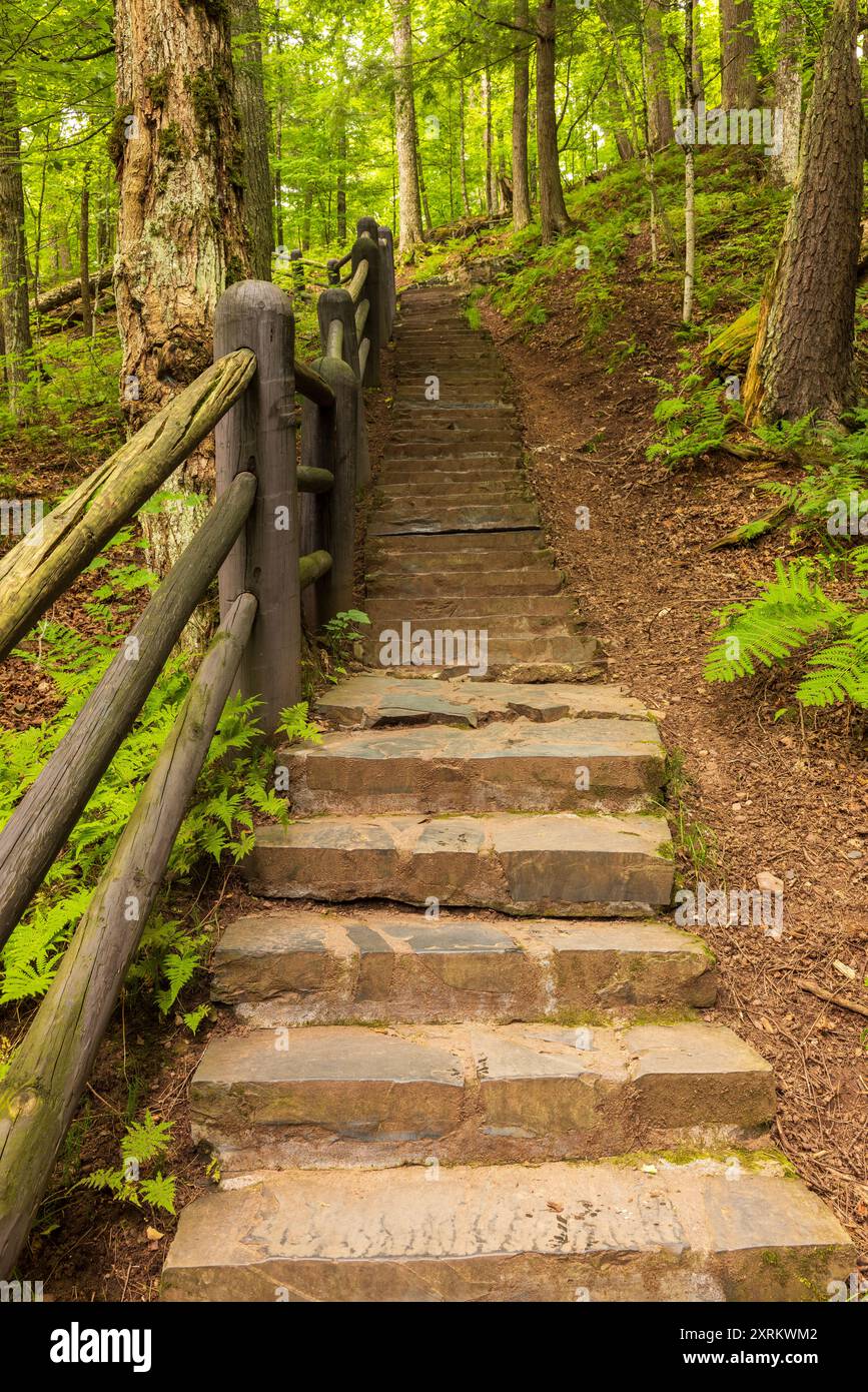 Wooden steps on nature trail hi-res stock photography and images - Alamy