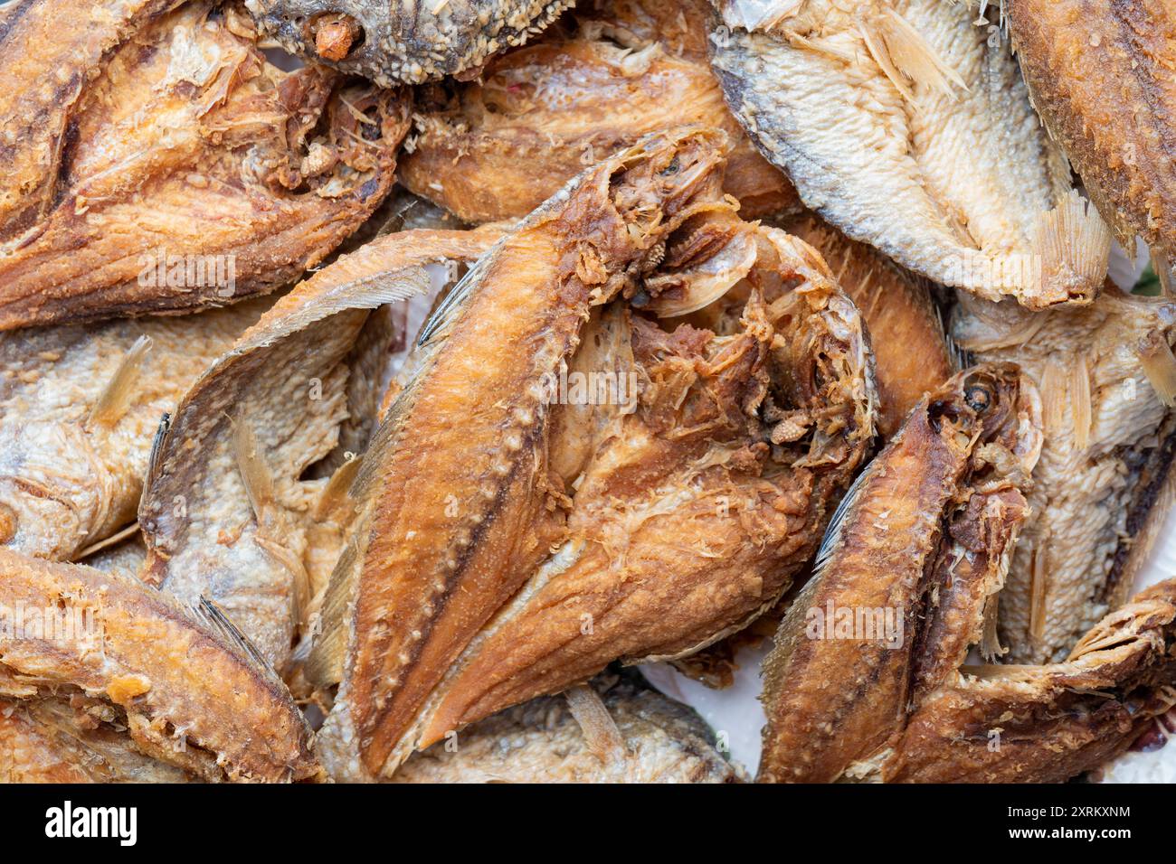 Ikan masin goreng or fried salted fish in white plate, isolated on ...