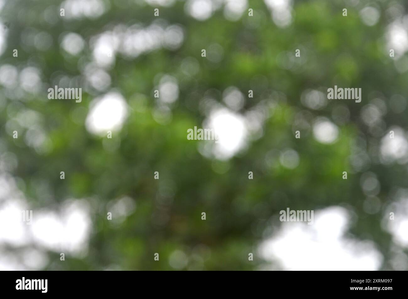background blur is not in focus Stock Photo - Alamy